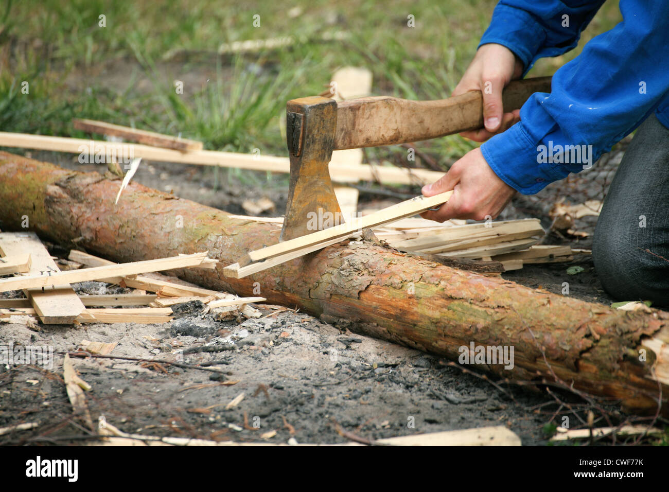 Old Axe stuck in a chopping block and splinters of wood with natural ...