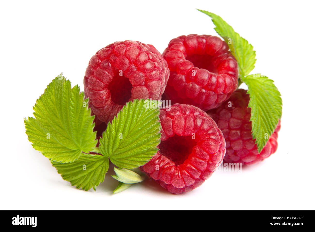 Bunch of a red raspberry on a white background. Close up macro shot ...