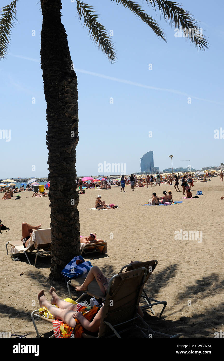 sunbathers on the beach in summer time Barcelona Stock Photo - Alamy