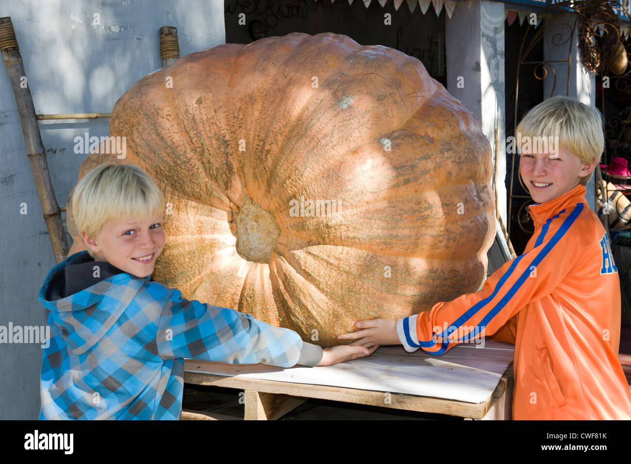 Children admire a giant pumpkin at a farmstall in Worcester, Western ...