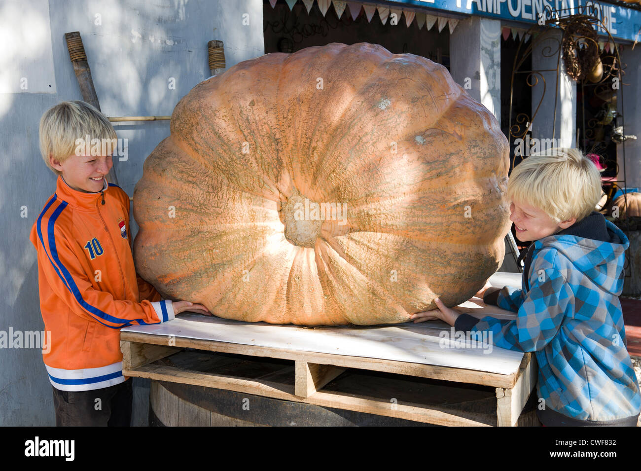 Children admire a giant pumpkin at a farmstall in Worcester, Western ...