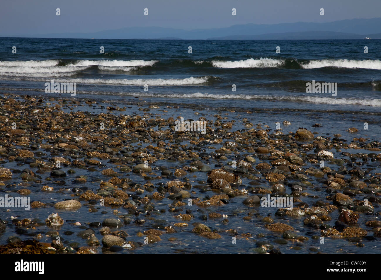 On Vancouver Island in Parksville, the with deep blue Pacific Ocean ...
