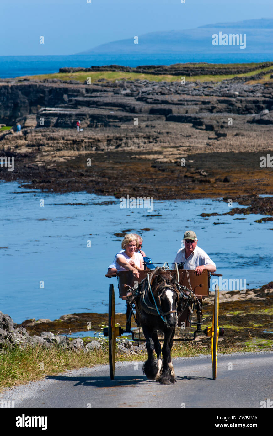 Aran islands horse cart hi-res stock photography and images - Alamy