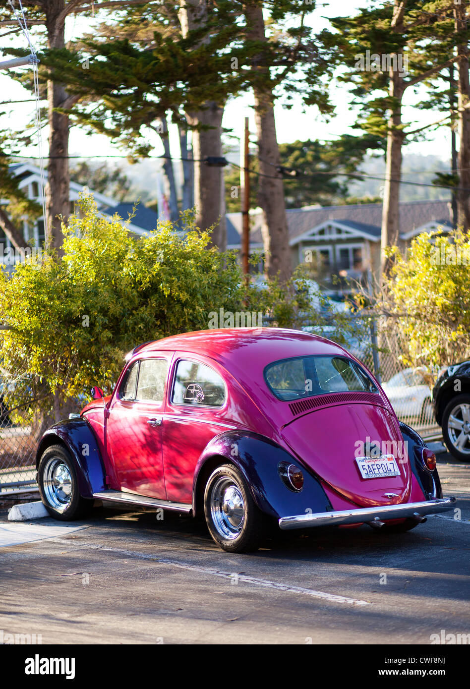 VW Beetle, California Stock Photo - Alamy
