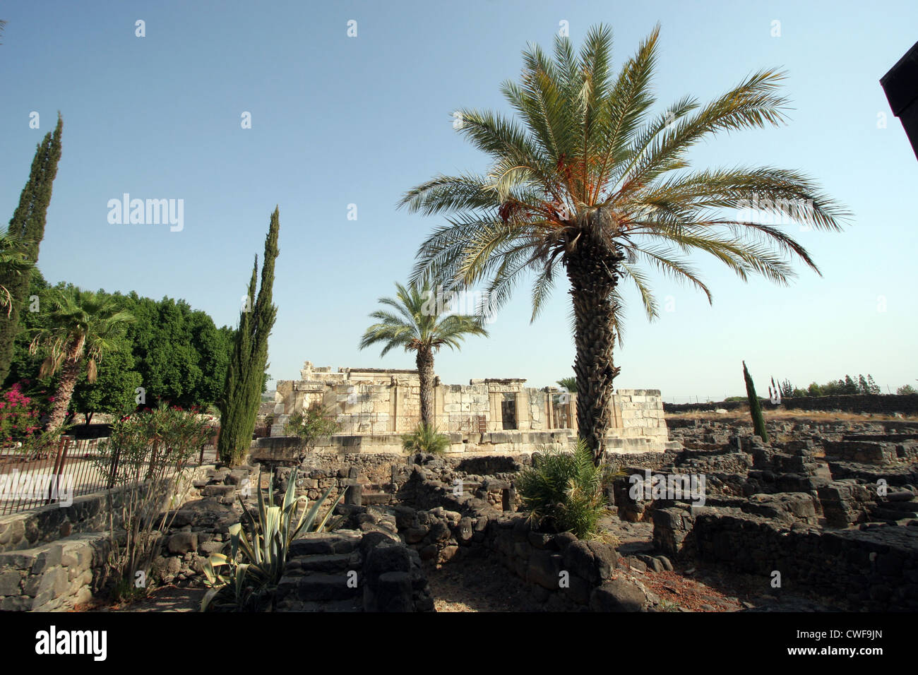 Ruins of the great synagogue of Capernaum, Israel Stock Photo - Alamy