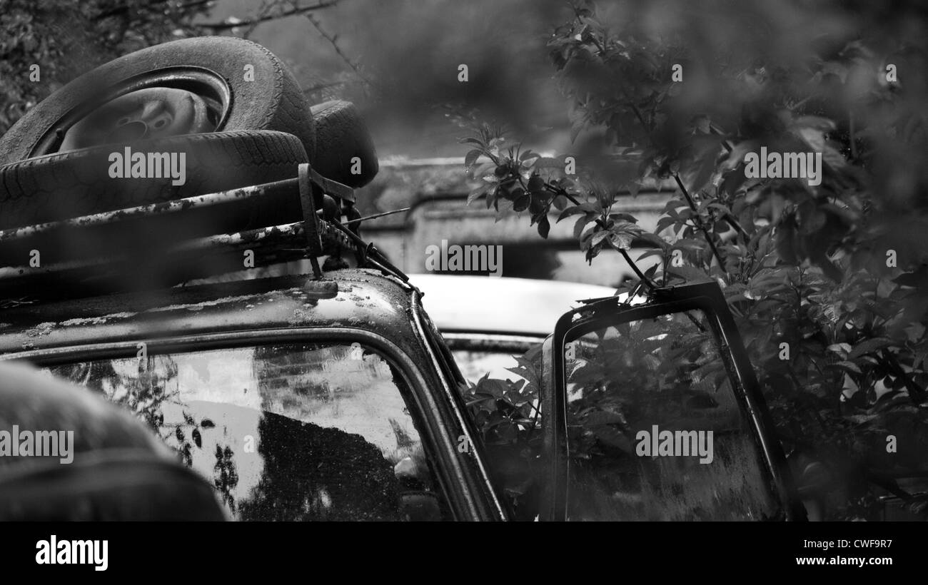 old rotting cars pile up Stock Photo - Alamy