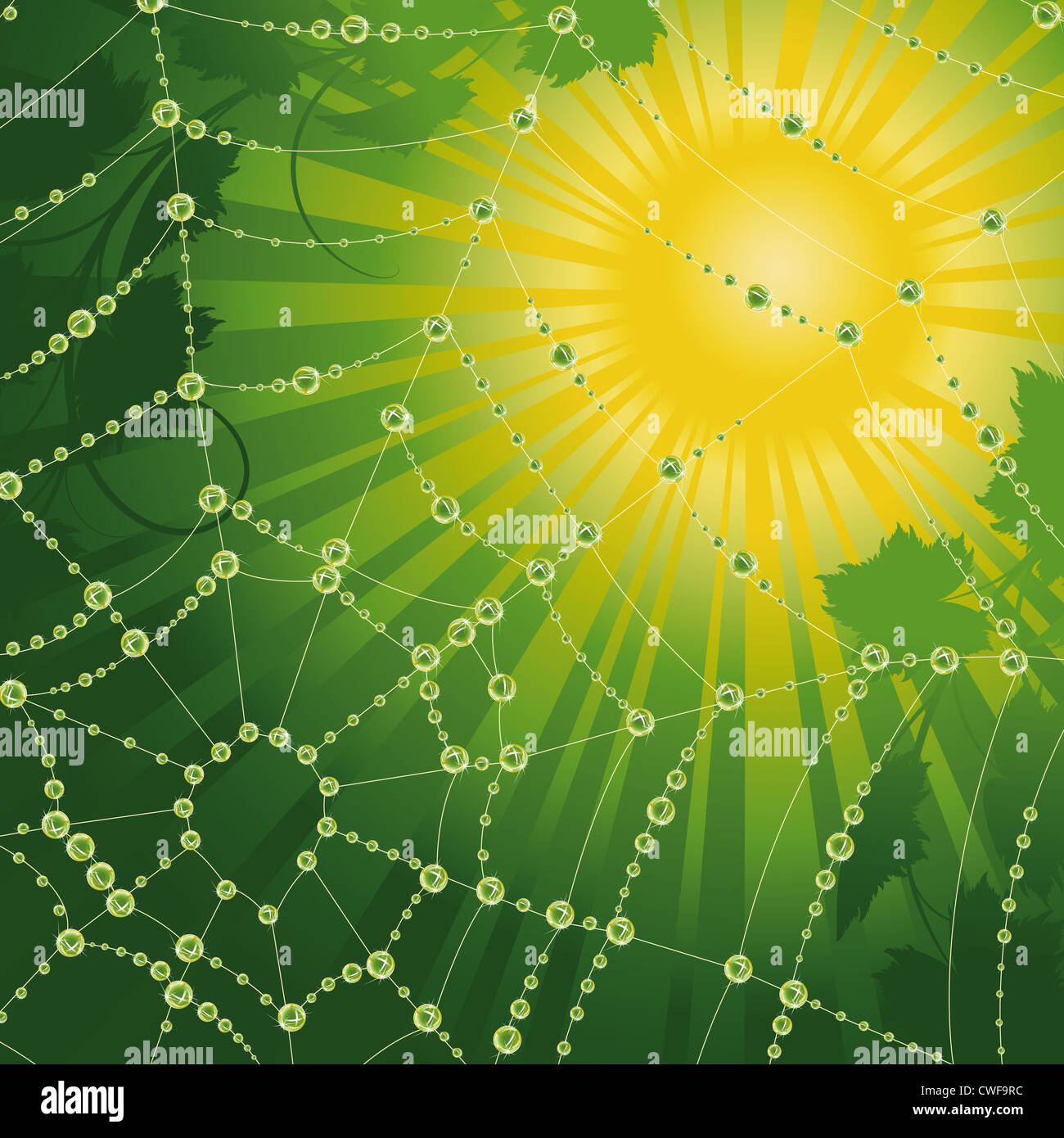 Autumn background with a spider's web and sun Stock Photo - Alamy