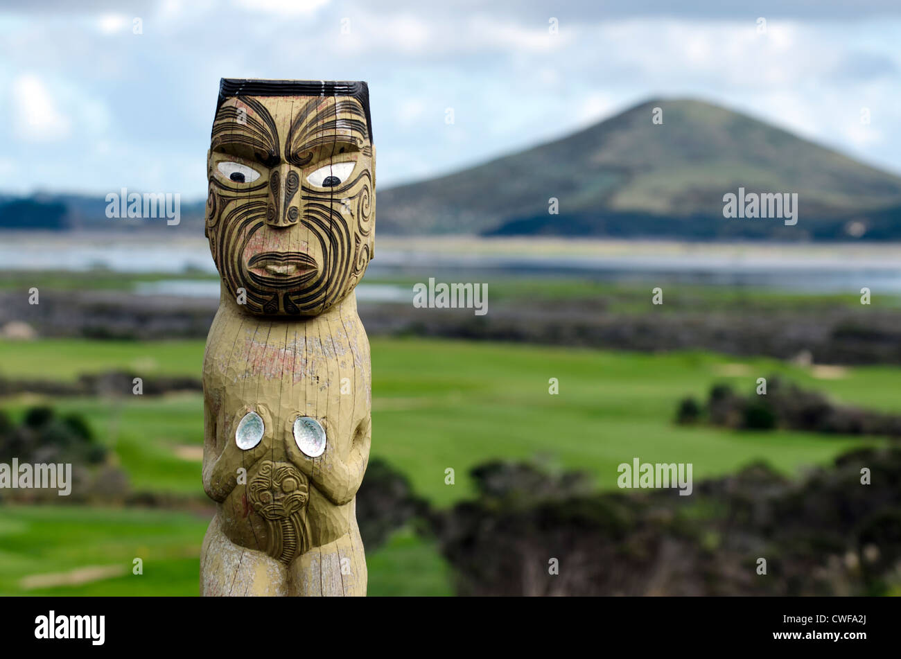 New Zealand Maori People Tribe High Resolution Stock Photography and ...