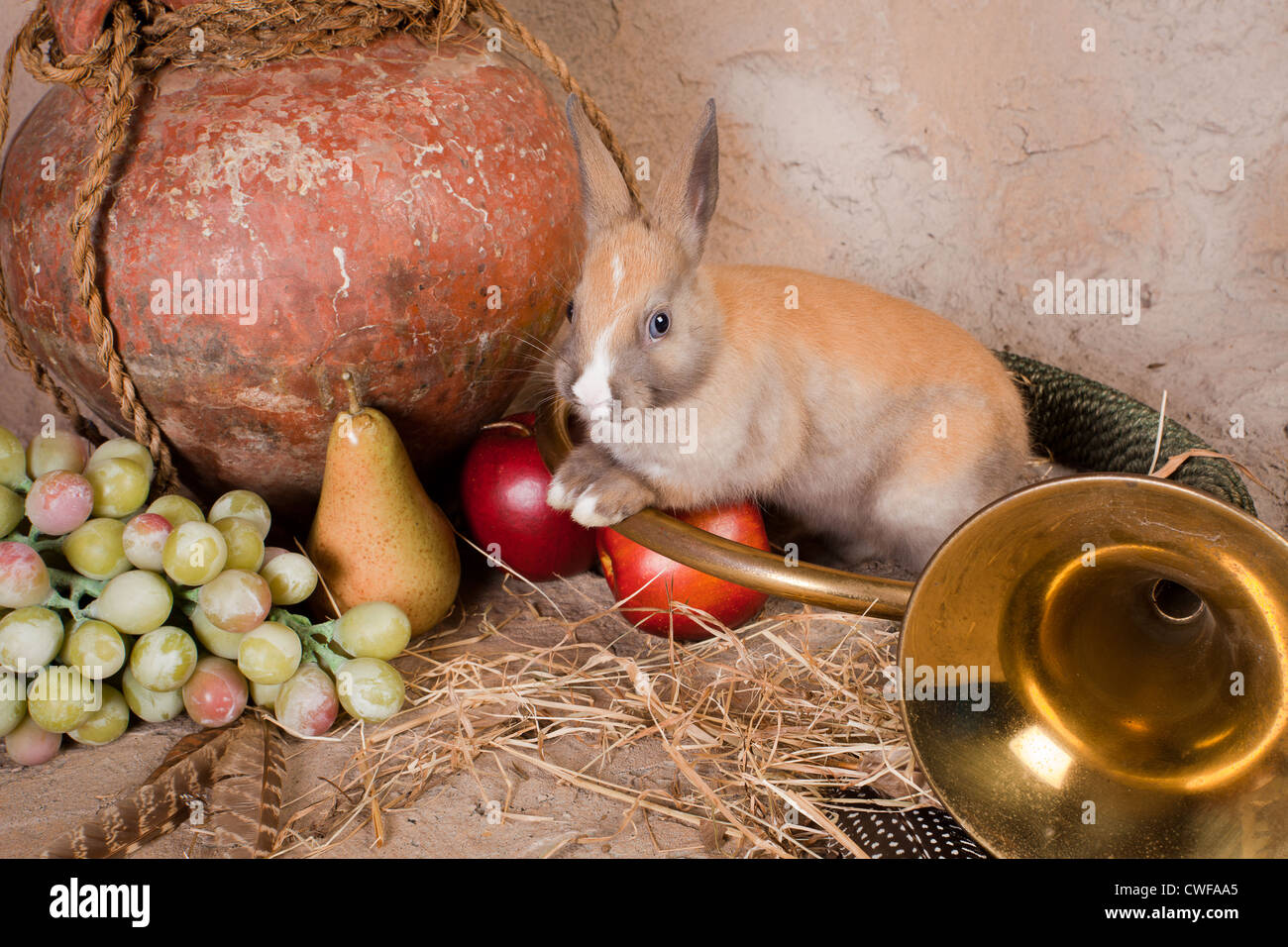 Old hunting horn hi-res stock photography and images - Alamy
