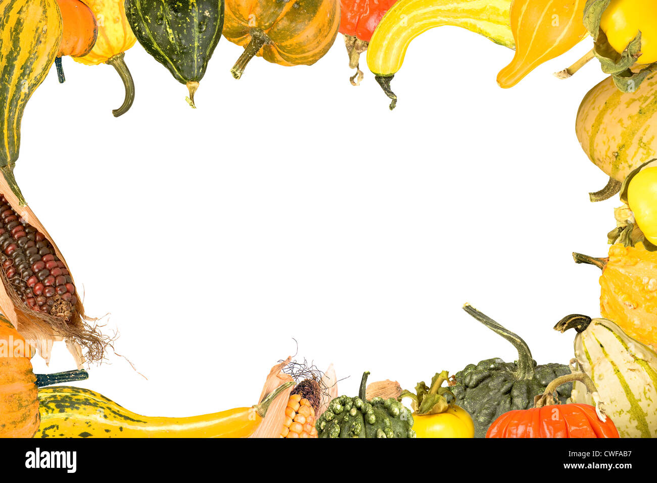 Border frame made of assorted gourds for thanksgiving Stock Photo - Alamy