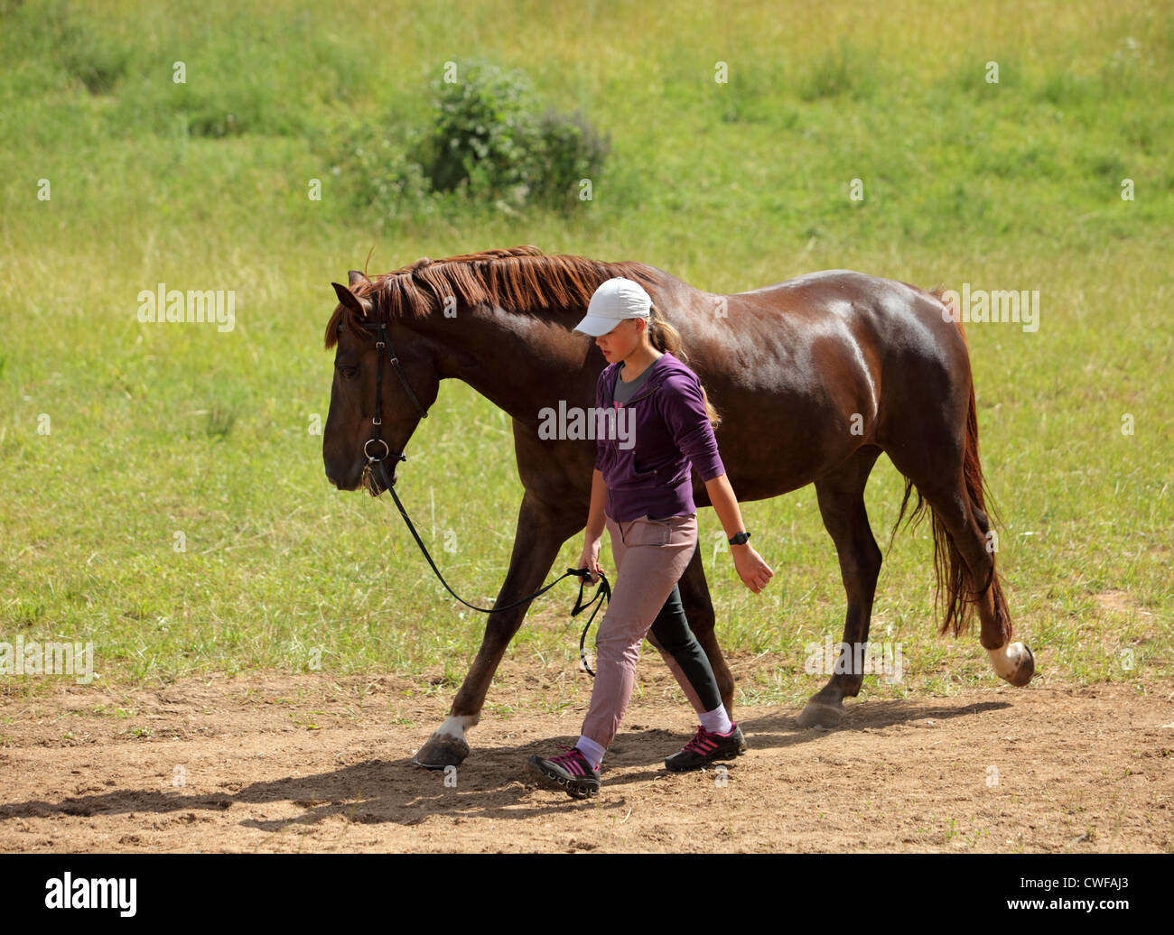 Young girl leading her horse back to the stable Stock Photo - Alamy