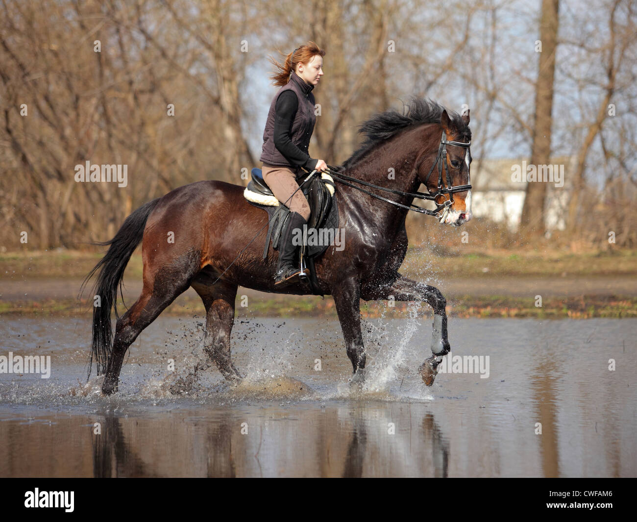 Woman horse water hi-res stock photography and images - Alamy