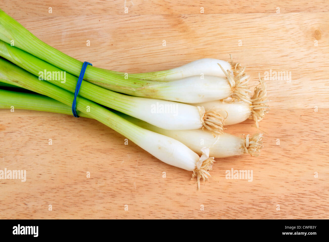 Long green onions hi-res stock photography and images - Alamy