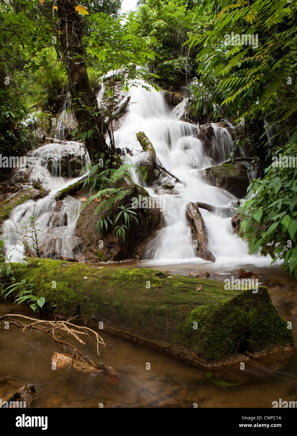 Laos jungle attractions hi-res stock photography and images - Alamy