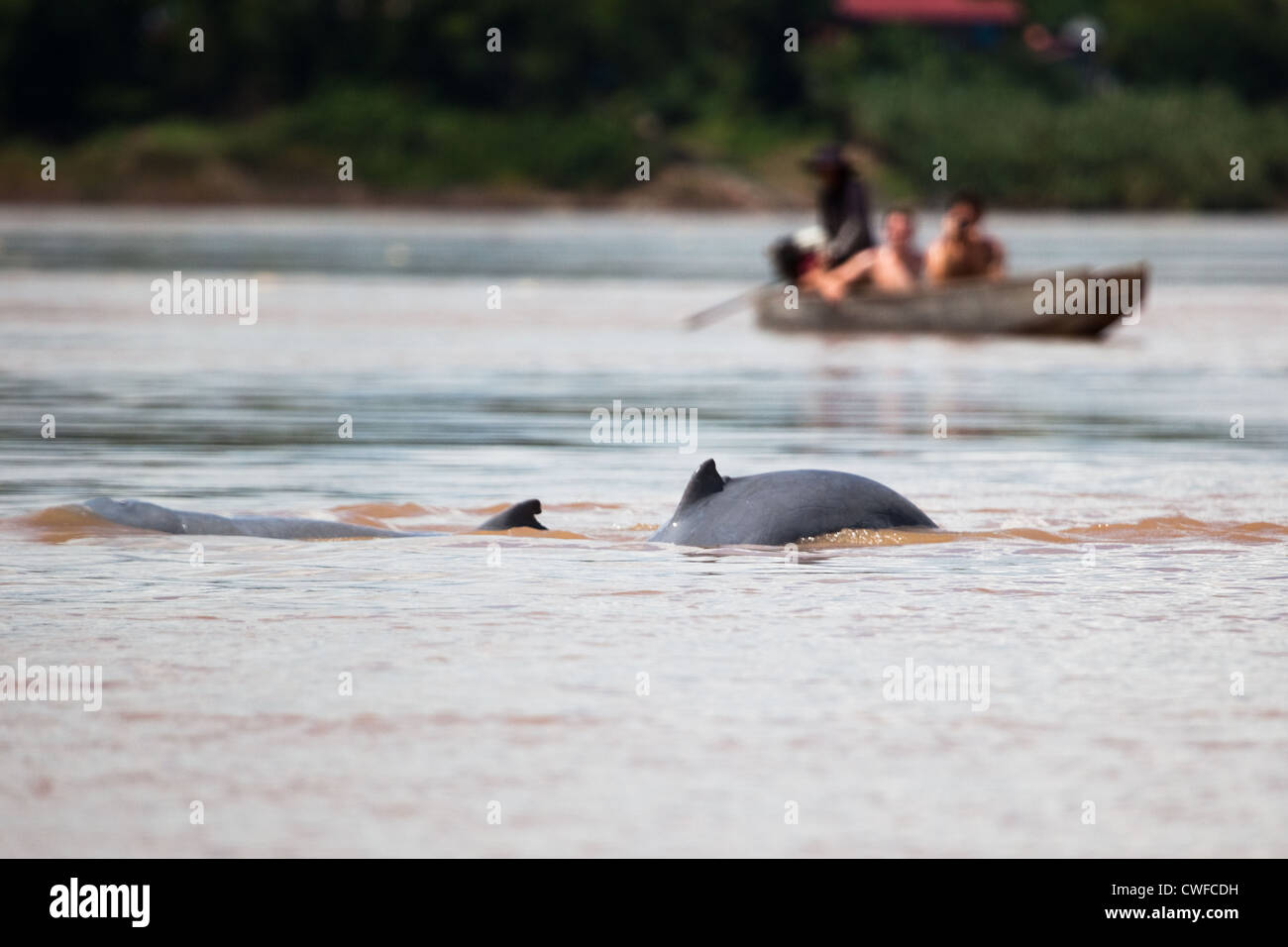 Irrawaddy River Delta High Resolution Stock Photography and Images - Alamy