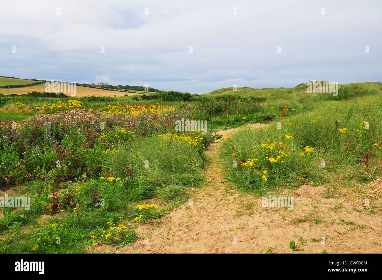 Broughton Bay, Gower Stock Photo - Alamy