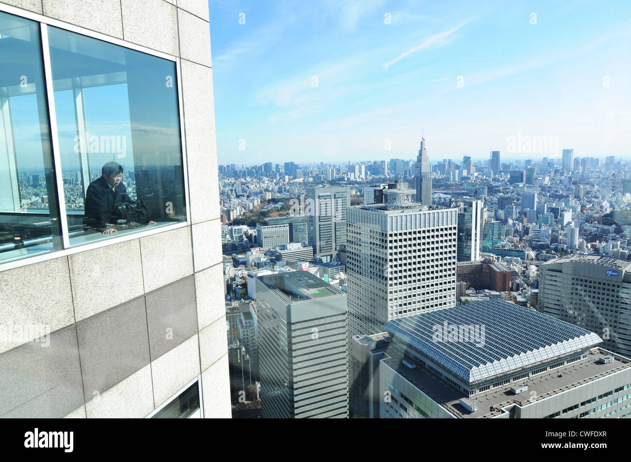 Tokyo, Japan - 28 December, 2011: Tourists admiring the Japanese ...