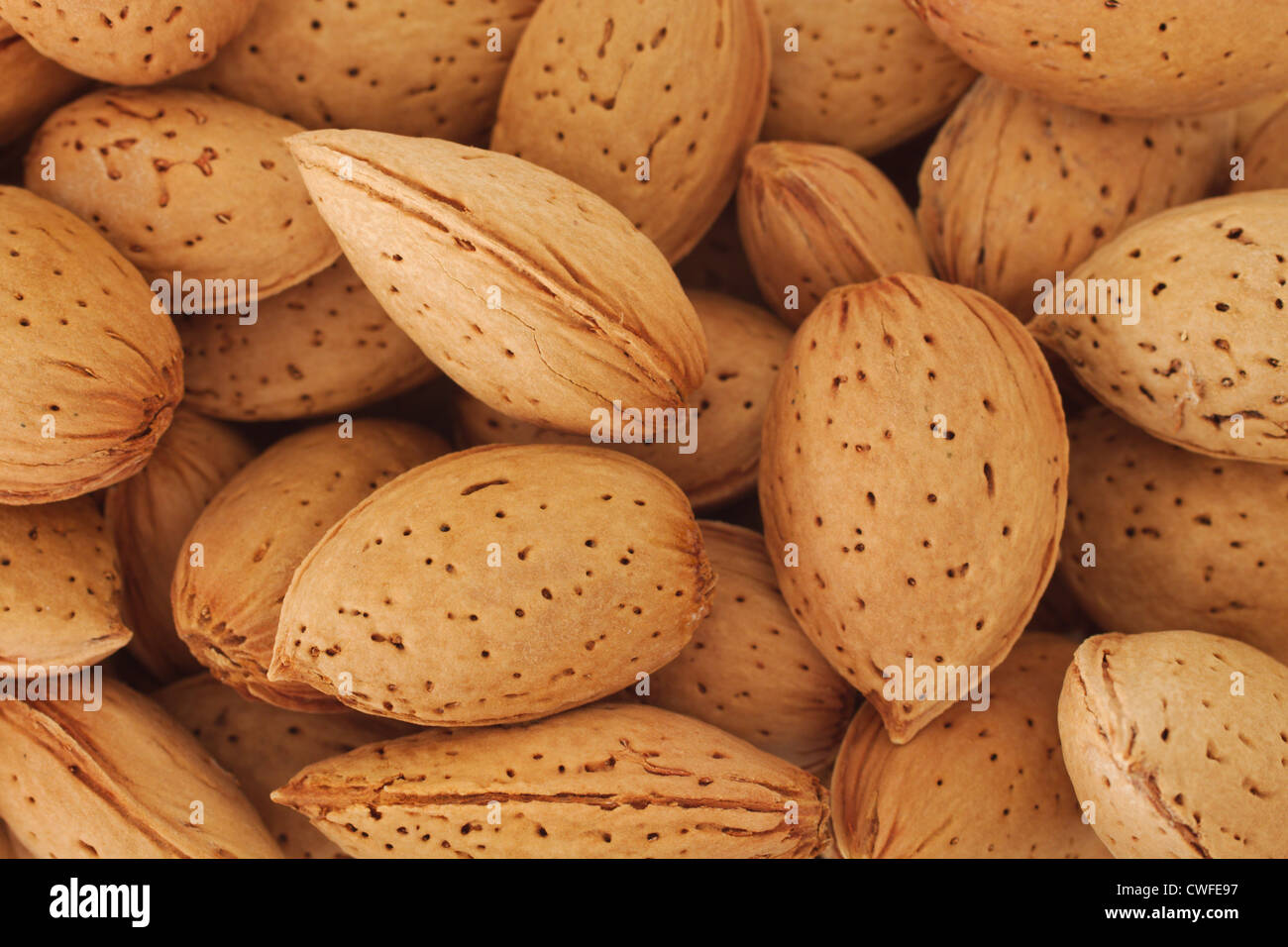 Close up almond shells hi-res stock photography and images - Alamy
