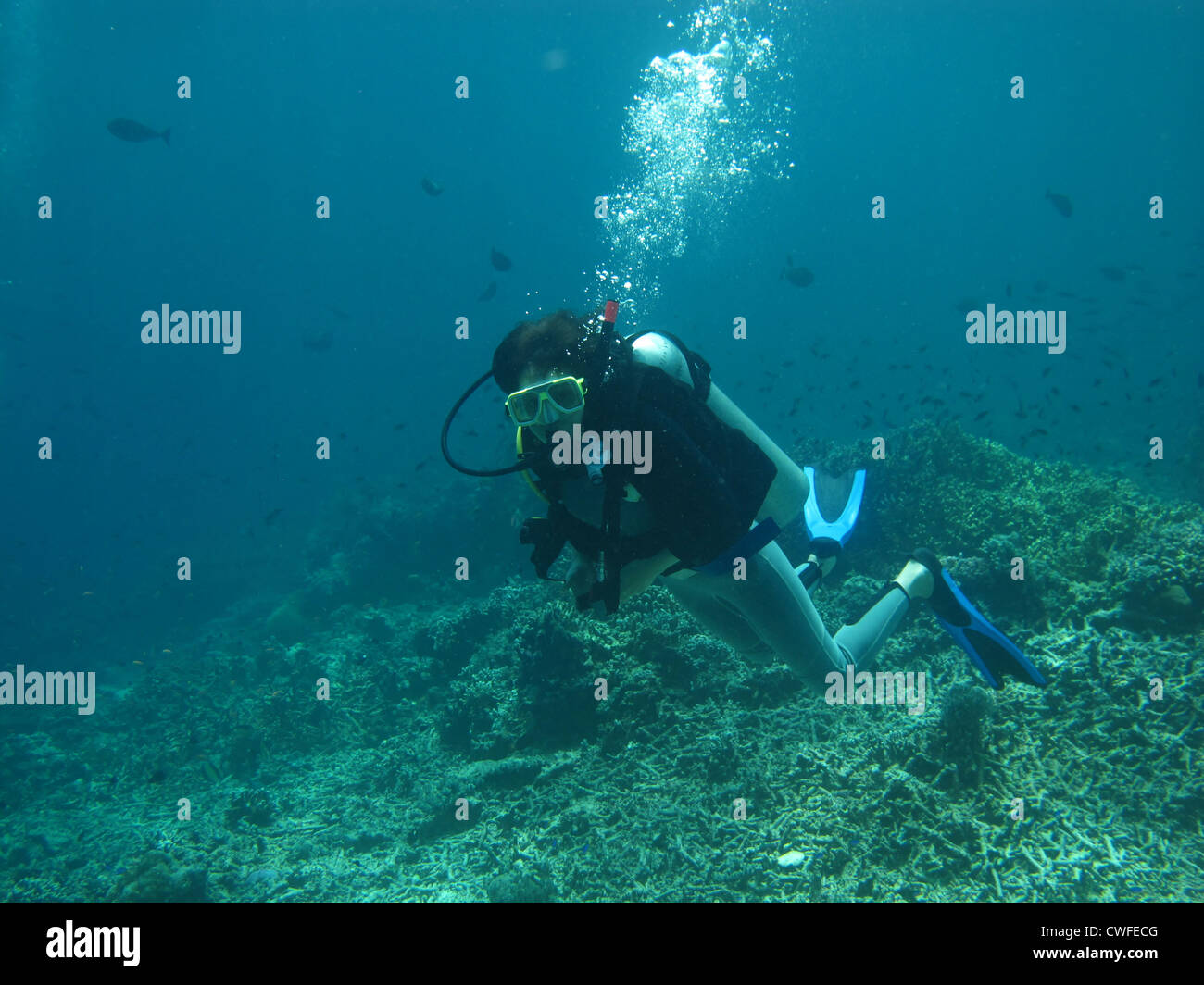 People sea underwater hi-res stock photography and images - Alamy