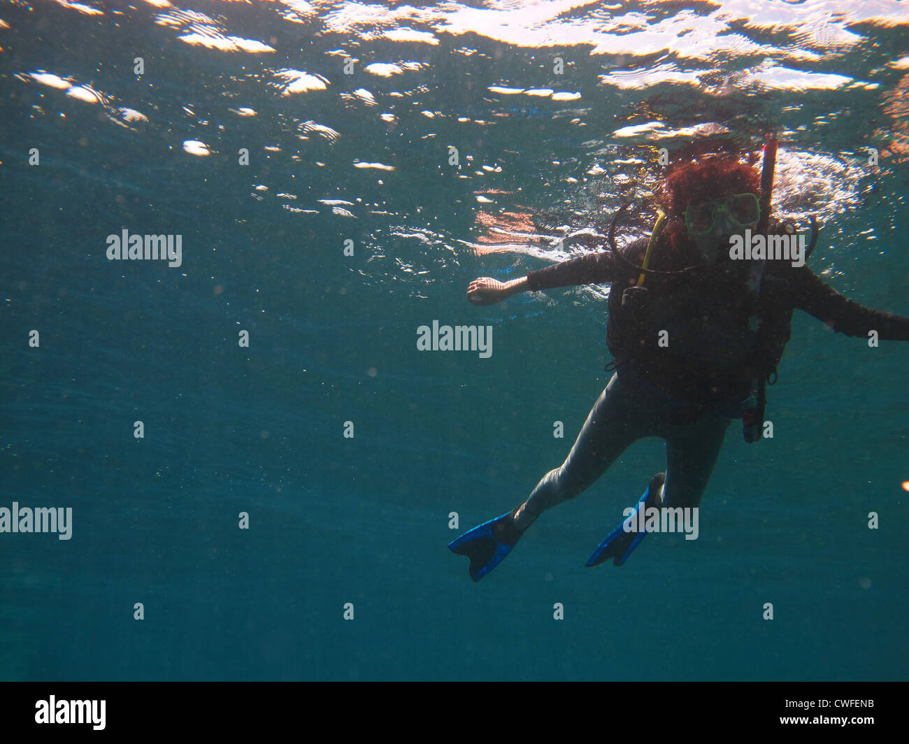 people dive underwater Stock Photo - Alamy