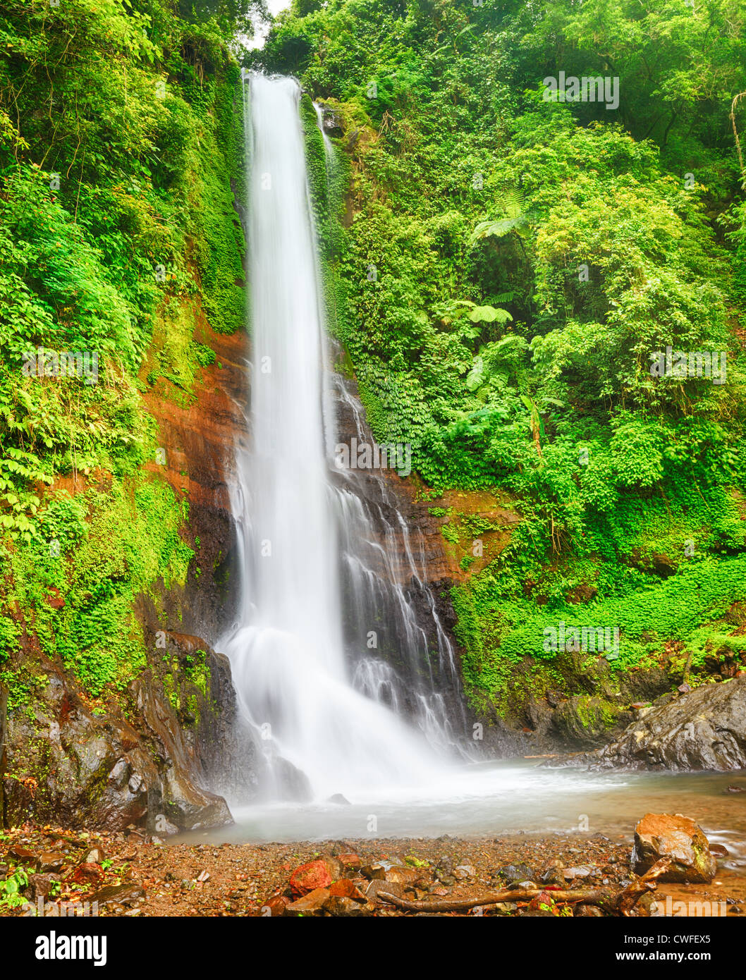 Beautiful waterfall in rainforest. Bali Stock Photo - Alamy