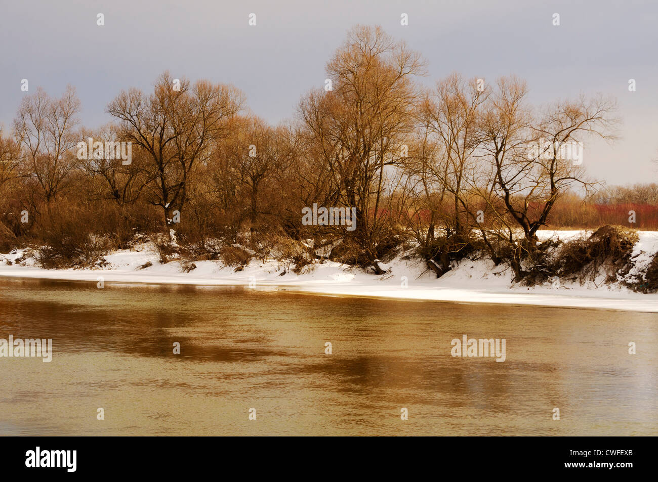 Murky dirty water hi-res stock photography and images - Alamy