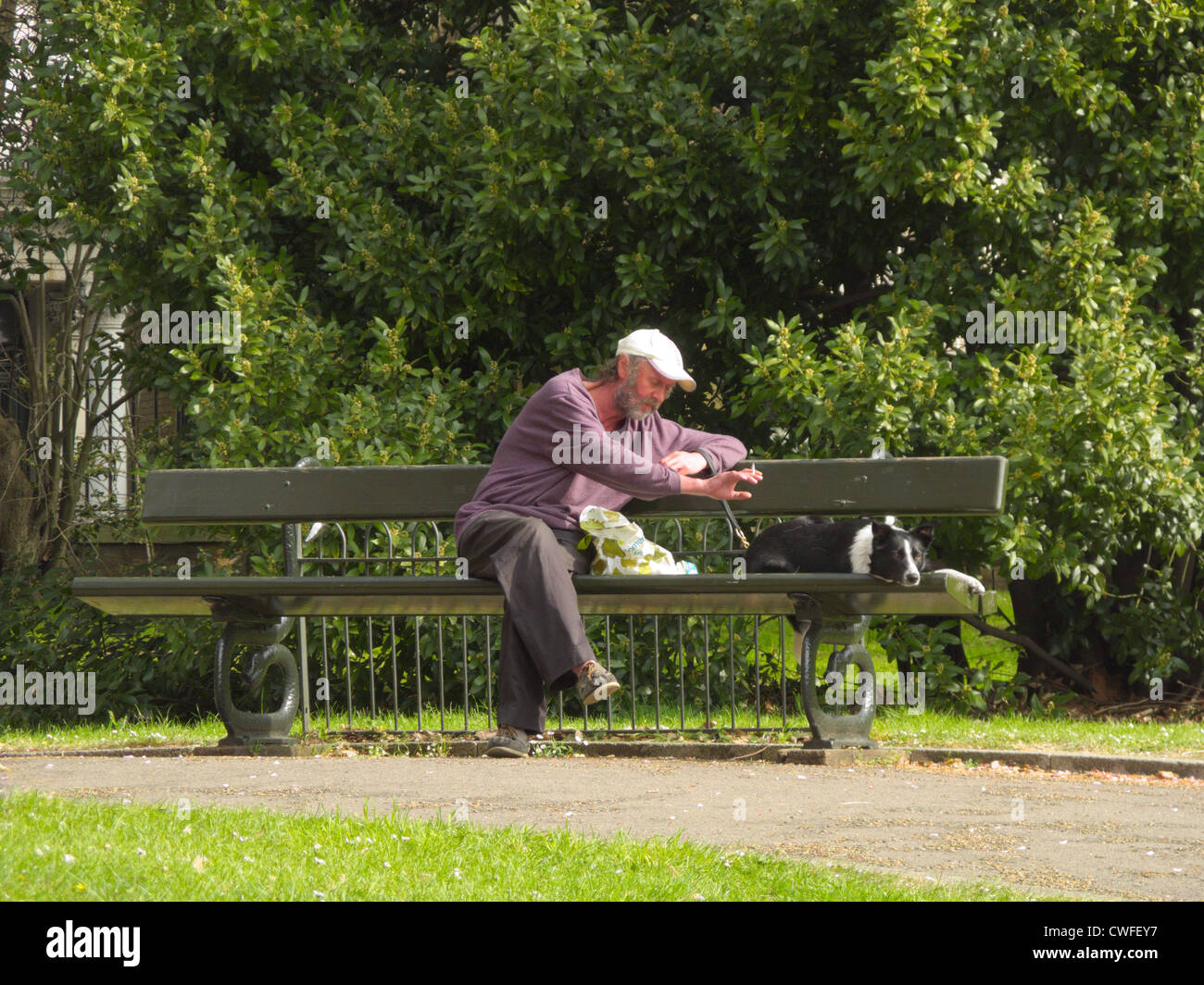 Poor man with dog on bench in Kensington Gardens, London, UK Stock ...