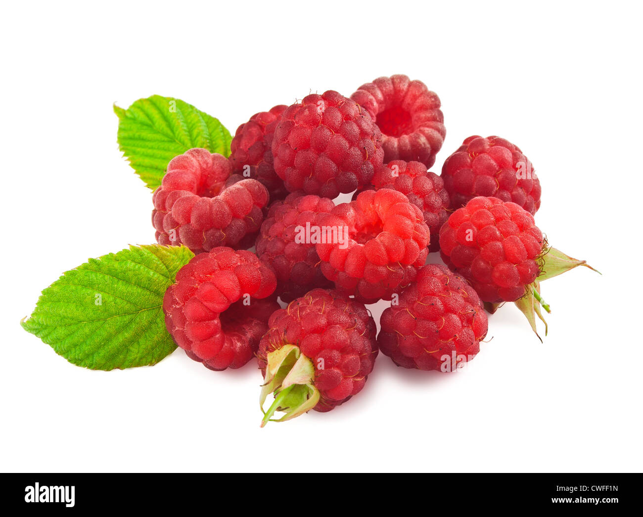 Image raspberry Cut Out Stock Images & Pictures - Alamy