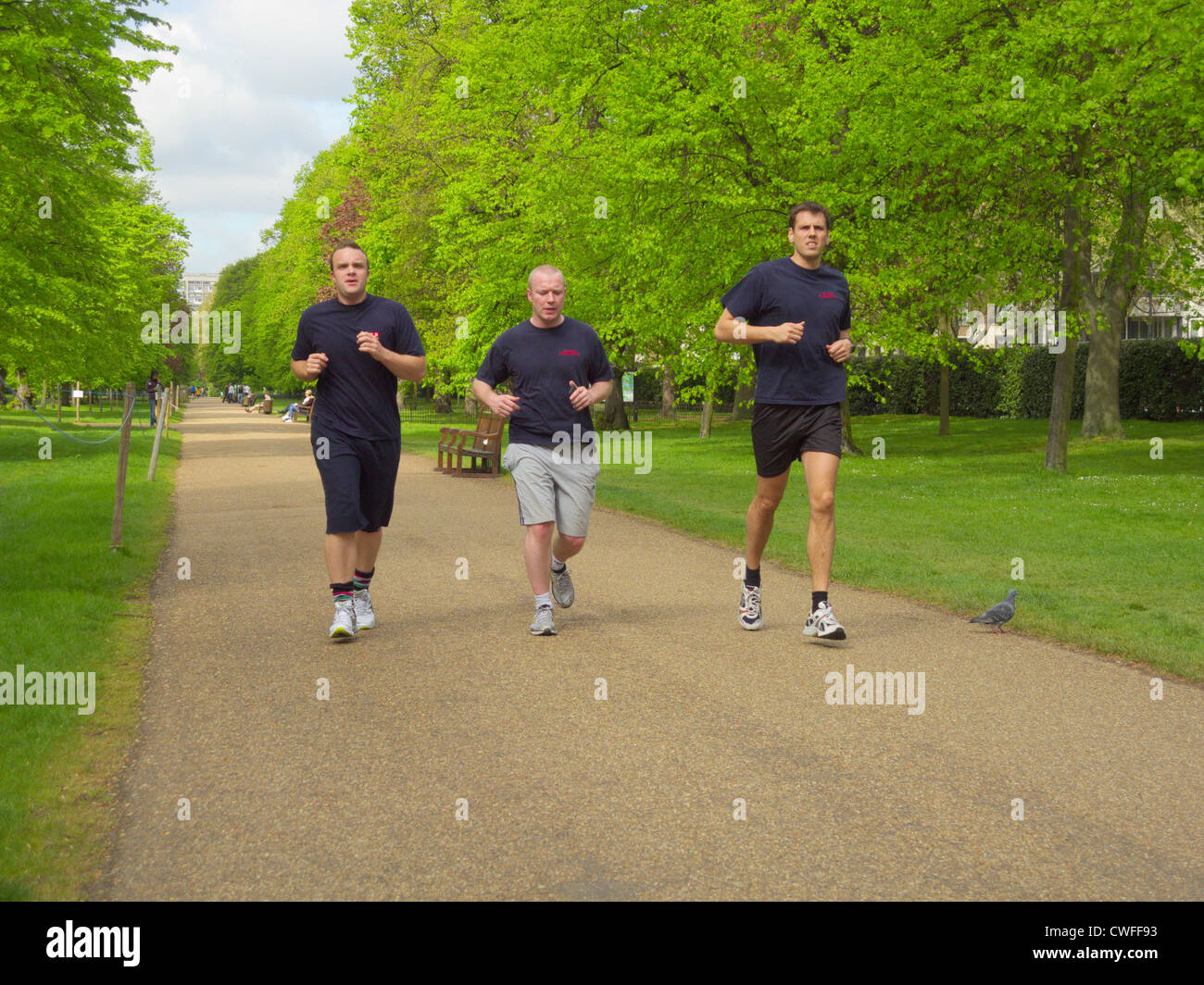 Three men Jogging in Kensington Gardens public park, London, UK Stock ...