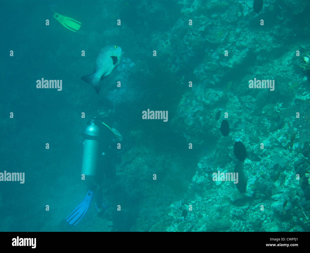 Underwater people hi-res stock photography and images - Alamy