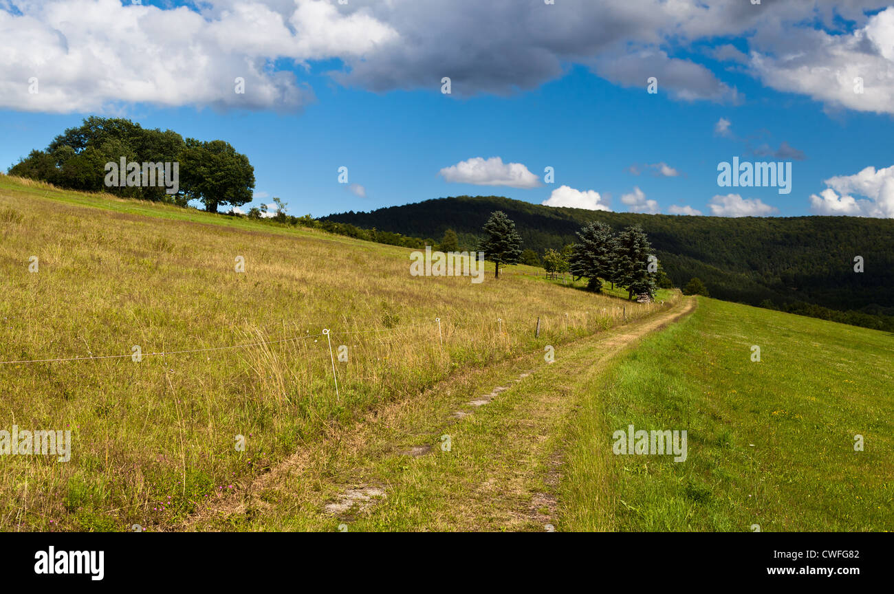 ground road in summer mountains Stock Photo - Alamy