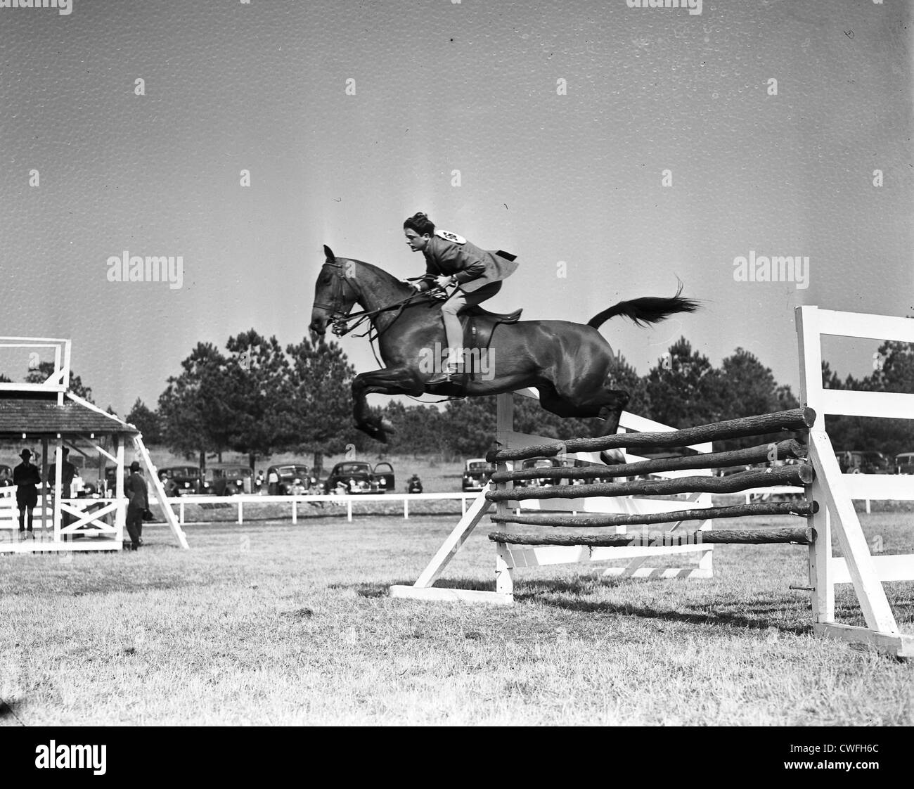 William F Buckley Jr show jumping his horse Pickles in Camden, South ...
