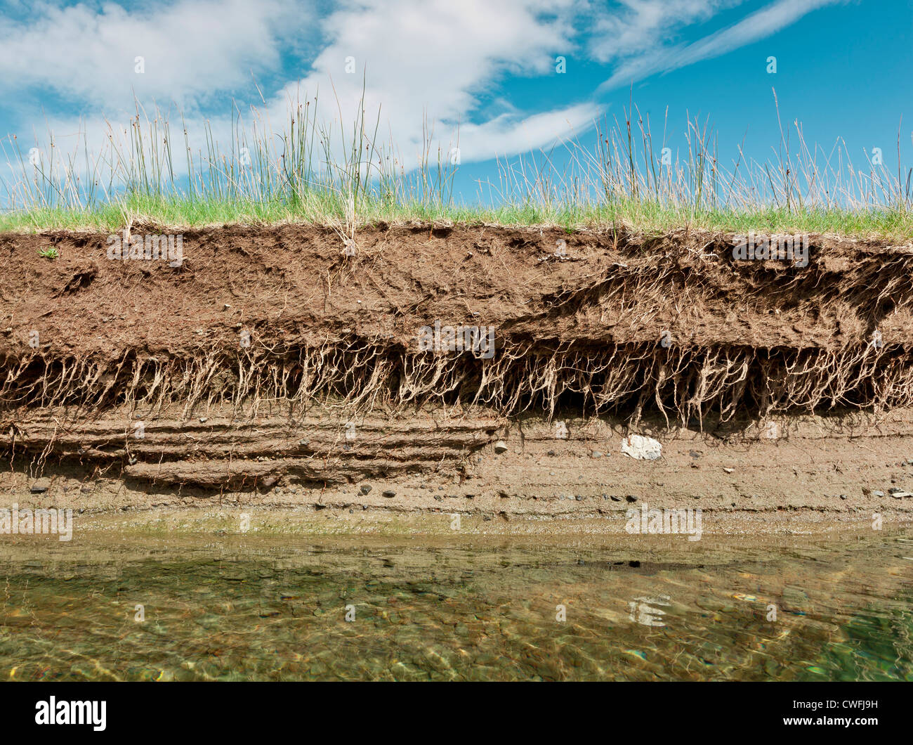Horizontal image of a Riverbank on a clear day showing cross section of ...