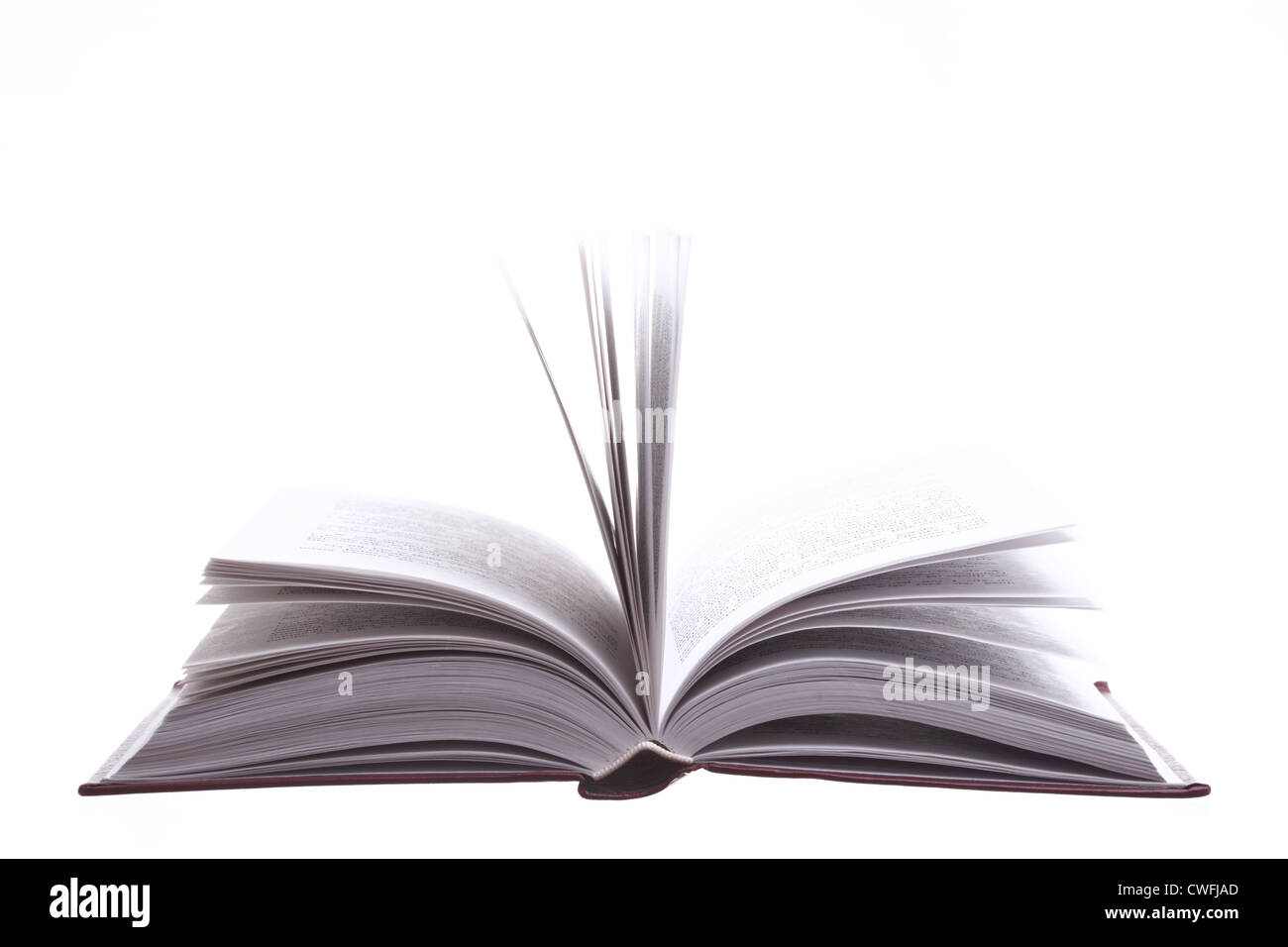 On library Cut Out Stock Images & Pictures - Alamy