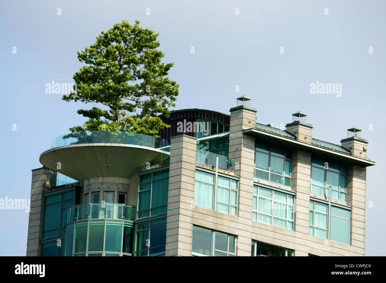 Pit oak tree on top of a high rise apartment building on Beach Avenue ...
