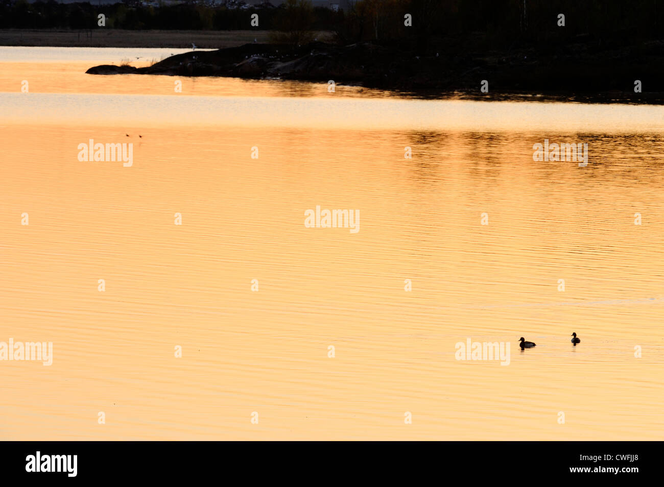 Kelly Lake High Resolution Stock Photography and Images - Alamy