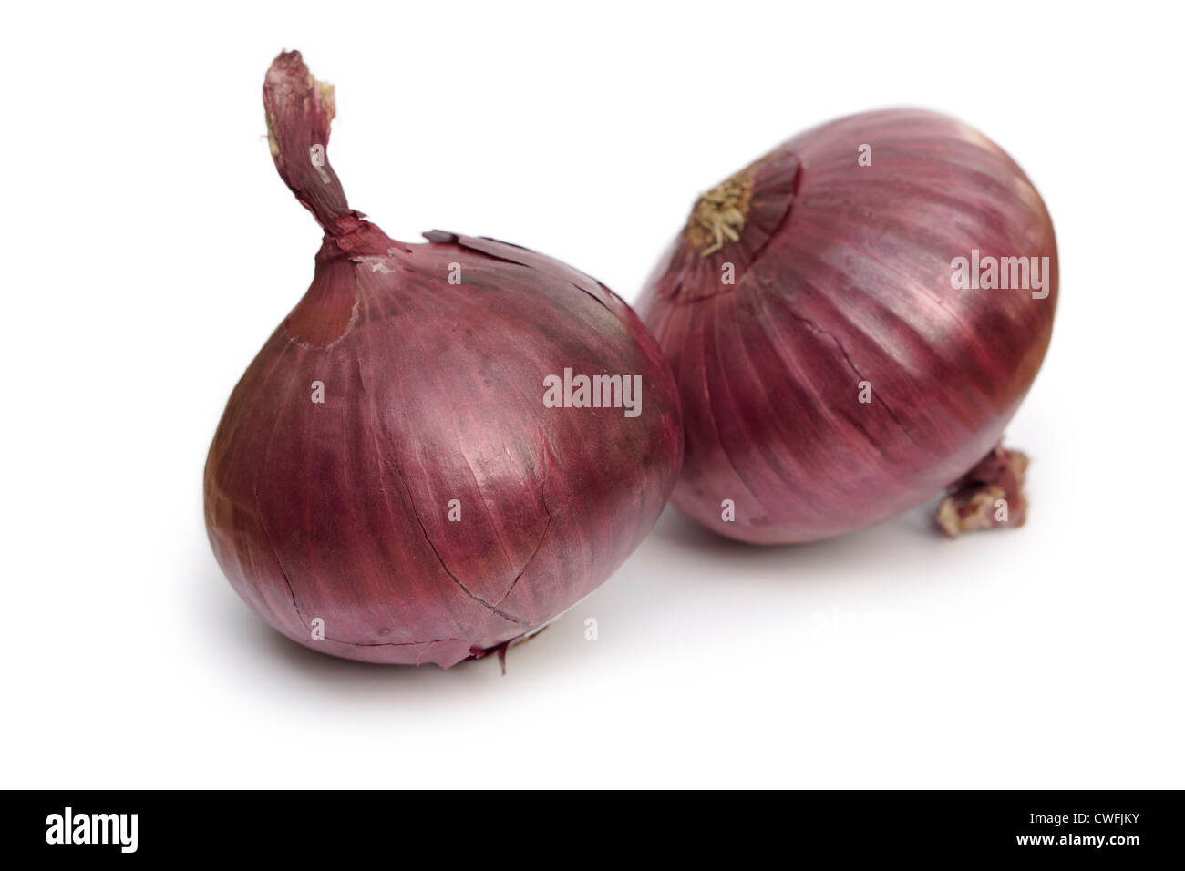 Onion, Red Onions Stock Photo - Alamy