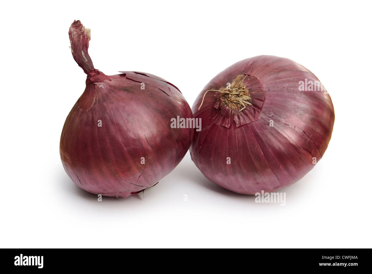Fresh raw bulbs onion Cut Out Stock Images & Pictures - Alamy