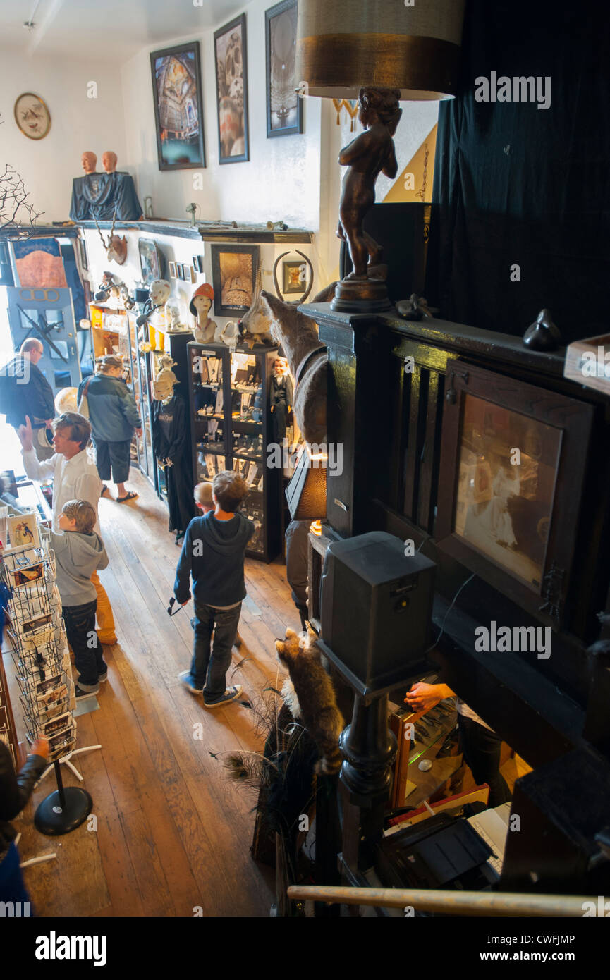 USA California CA San Francisco Haight Ashbury oddities store interior ...