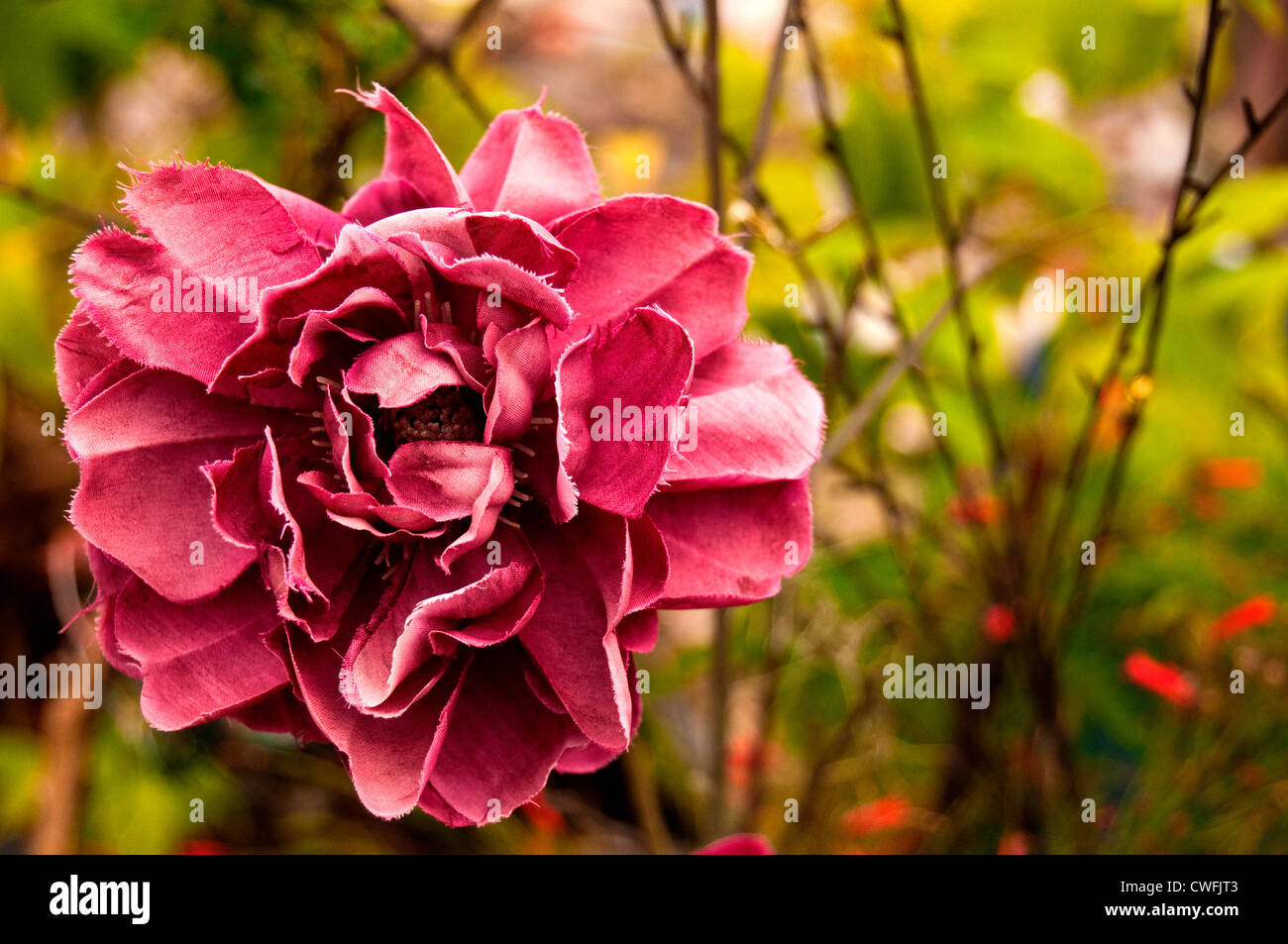 Made in malaysia hi-res stock photography and images - Alamy
