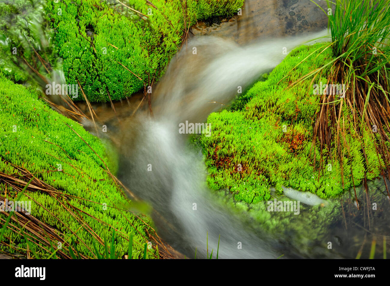 Spring cascade hi-res stock photography and images - Alamy