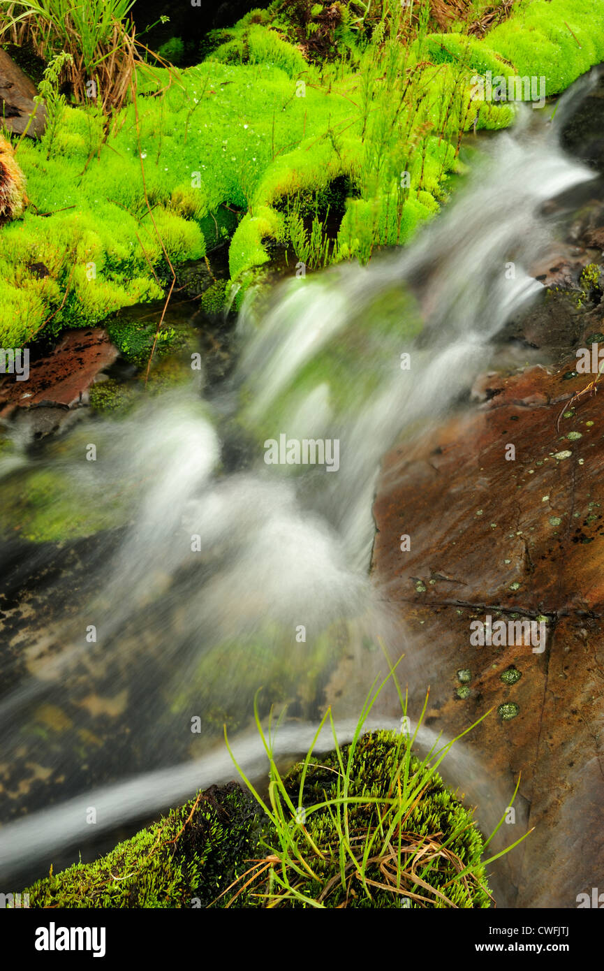 Spring cascade hi-res stock photography and images - Alamy