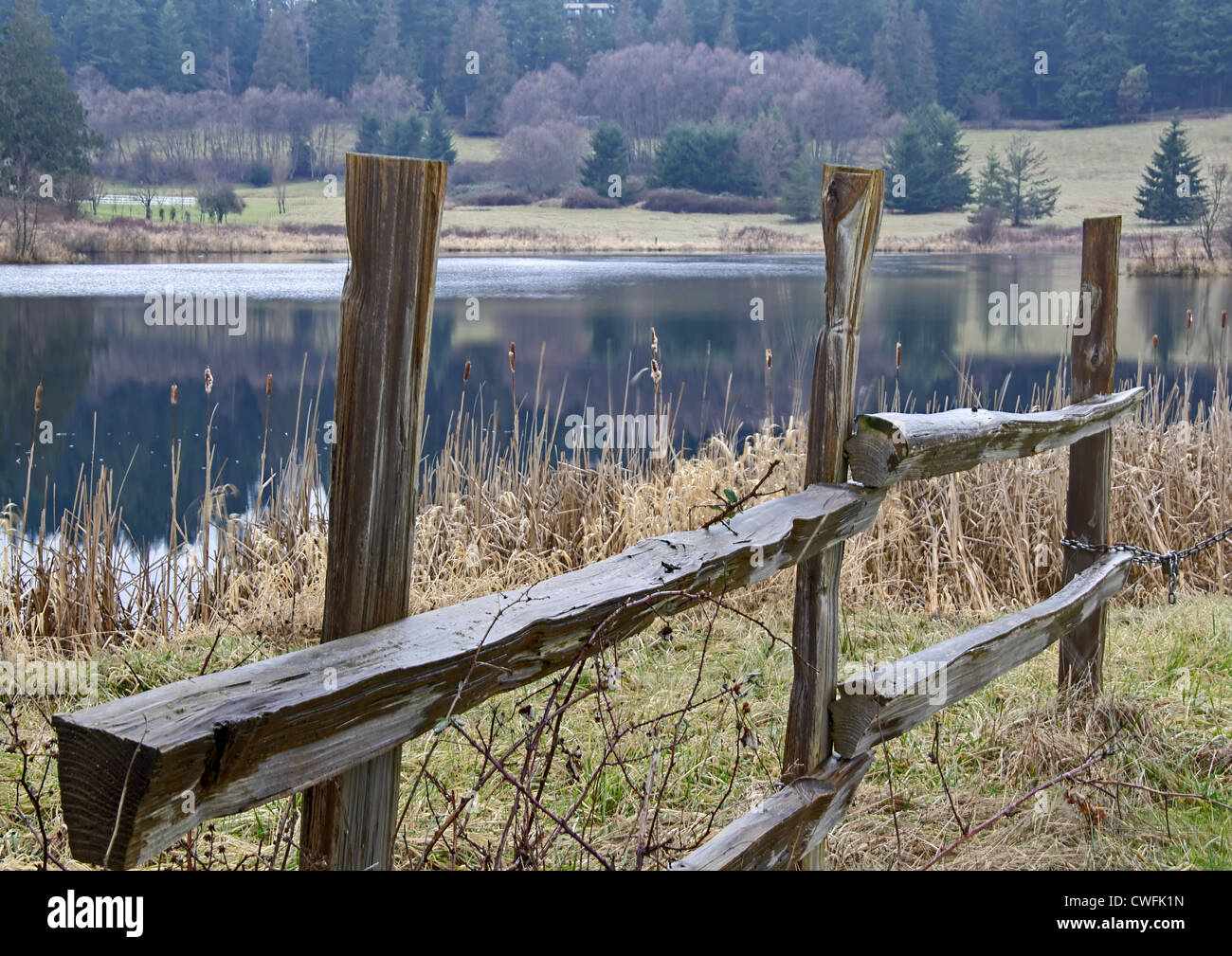 landscape is a wet, wood split rail fence near a small lake with ...