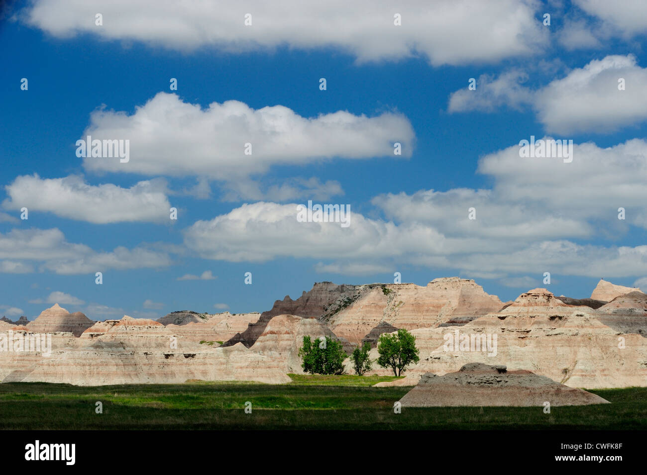 Pinnacles and group of cottonwood trees, Badlands National Park, South ...