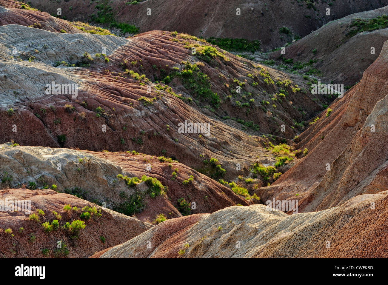 Sediment patterns in eroded mudstones, Badlands National Park, South ...
