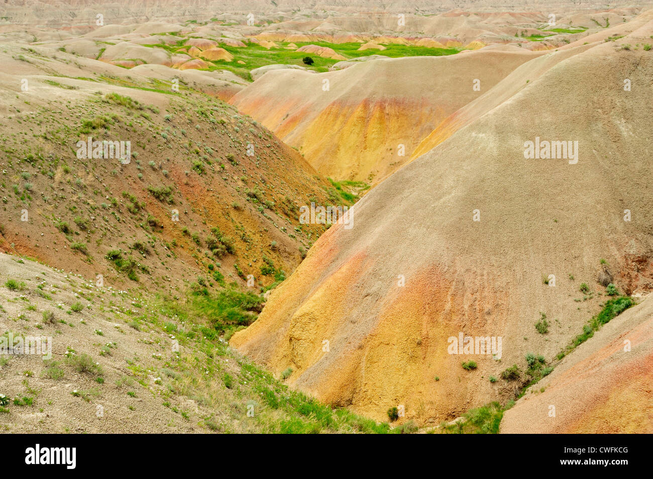 Eroded paleosols in the Conata basin, Badlands National Park, South ...