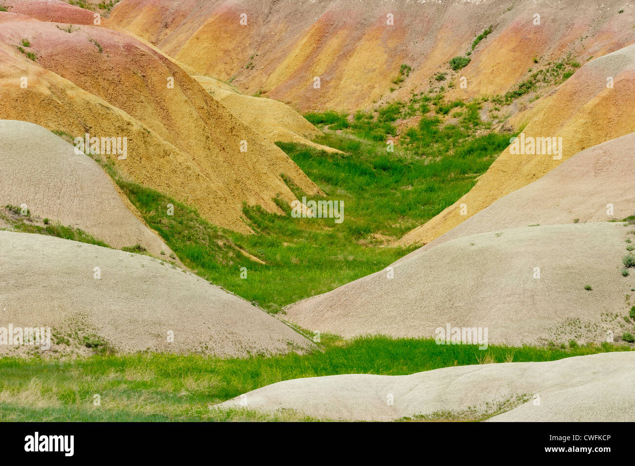 Eroded paleosols in the Conata basin, Badlands National Park, South ...