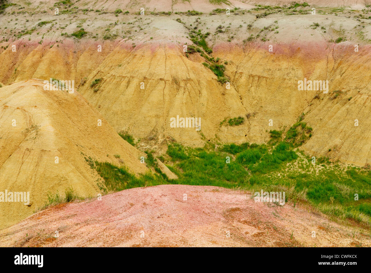 Eroded paleosols in the Conata basin, Badlands National Park, South ...
