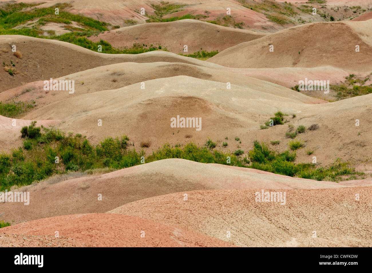 Eroded paleosols in the Conata basin, Badlands National Park, South ...