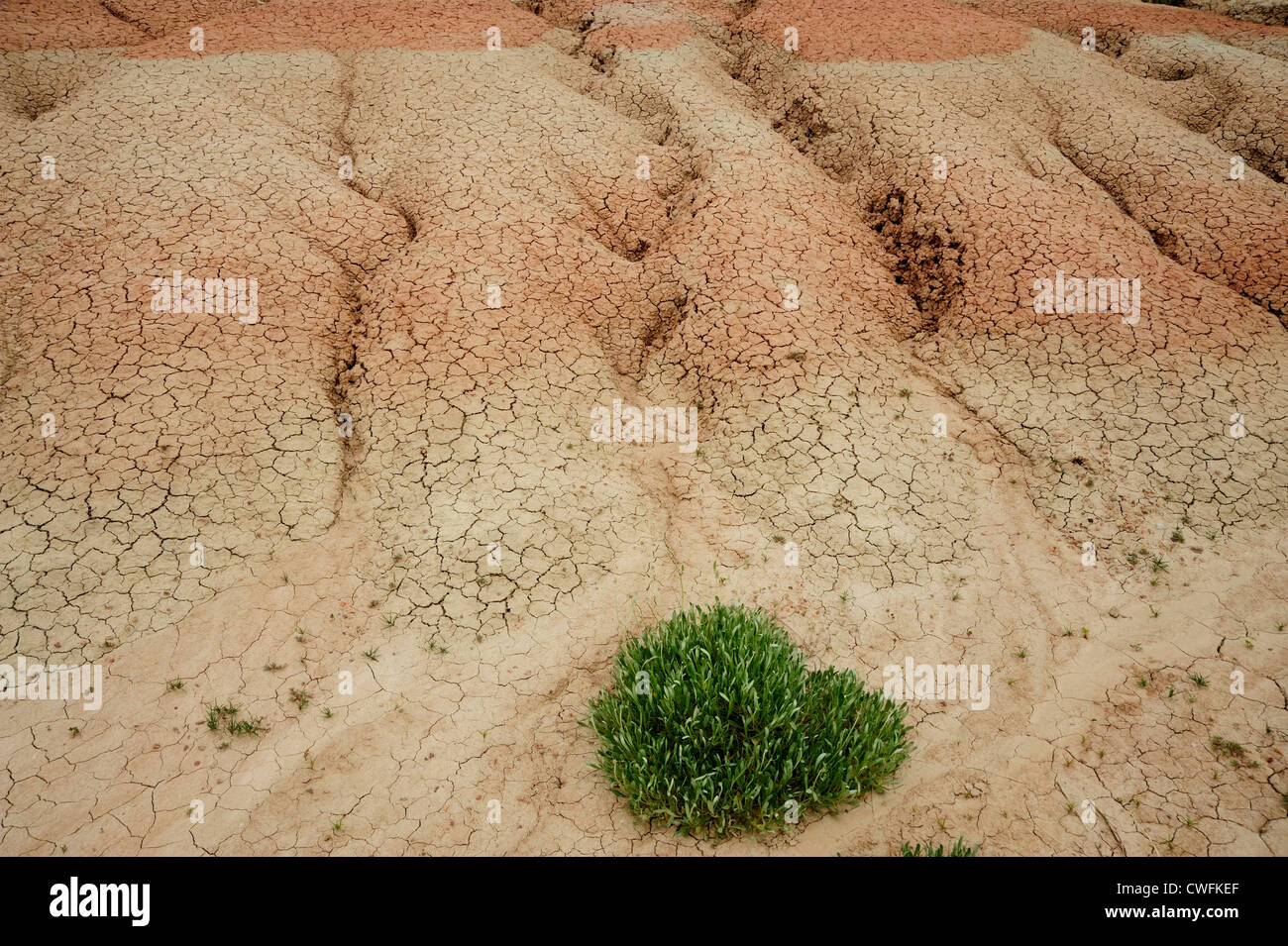 Eroded paleosols in the Conata basin, Badlands National Park, South ...